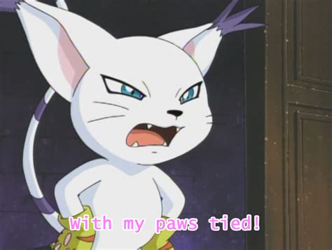 Auto Plays Digimon — The Pure Sass