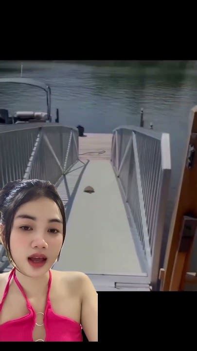 Turtle Run 😂🤣 Youtube