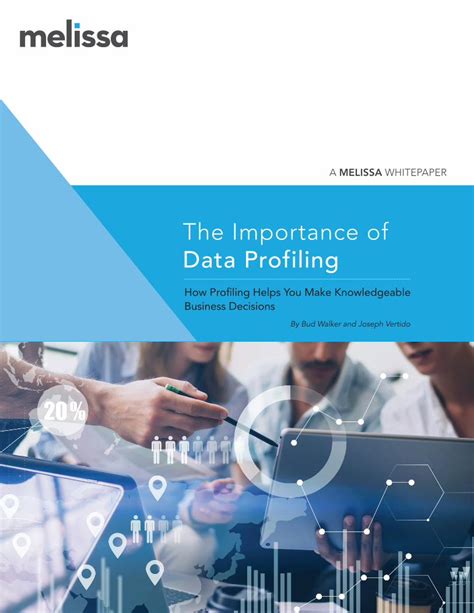 Pdf The Importance Of Data Profiling Melissathe Importance Of Data