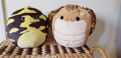 Squish Of The Day Forest🌻🌳 R Squishmallow