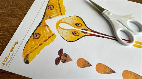 How To Craft A Paper Moth A Step By Step Tutorial Elka Yang