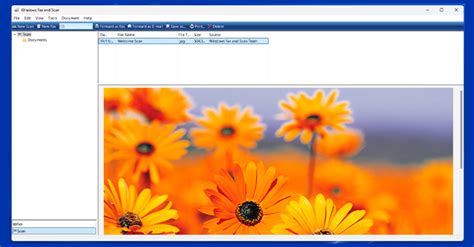 How To Scan A Document On A Printer Cartridge People