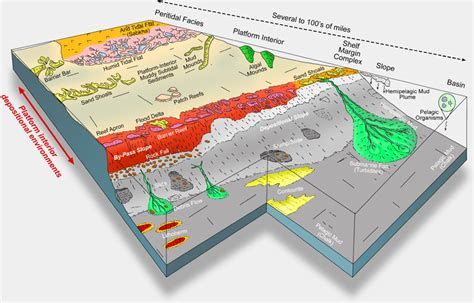 1000 Images About Geology On Pinterest Libraries Oil And Gas And
