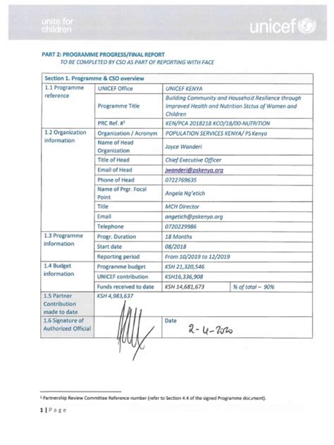 Final Program Report Pdf
