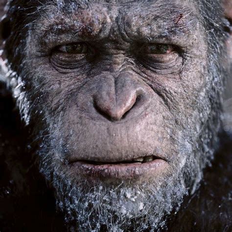 Planet Of The Apes 2001 Caesar