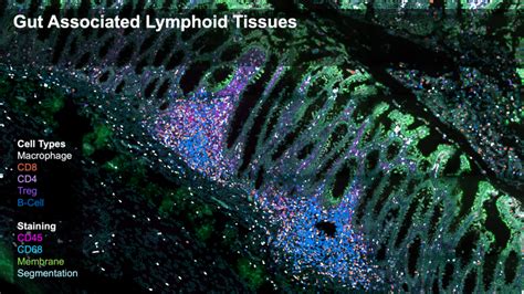 Spatial Omics Scaleup Biometra