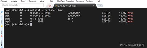 Linux配置vnc远程桌面 Linux Vnc Csdn博客