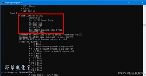 畅玩树莓派 B二树莓派搭建无线路由器支持 GWIFI