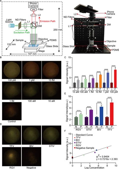 Detection Of Frog Virus 3 By Integrating Rpa Crisprcas12a Spm With
