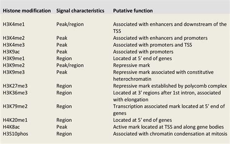 Table 12 From Histone Modifications Across The Cell Cycle In