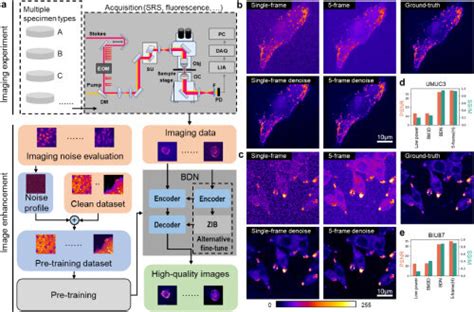 Single Frame Image Enhancement Of Spectral Microscopy Imaging A Download Scientific Diagram