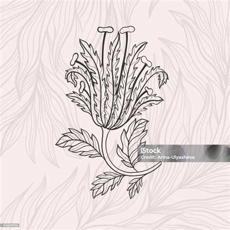 꽃 선 손으로 그린 스타일 하나의 개체 빈티지 디자인 우아한 식물 윌리엄 모리스 드로잉 스타일 0명에 대한 스톡 벡터 아트 및 기타 이미지 Istock