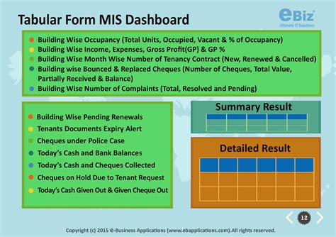 analyst erp developers software