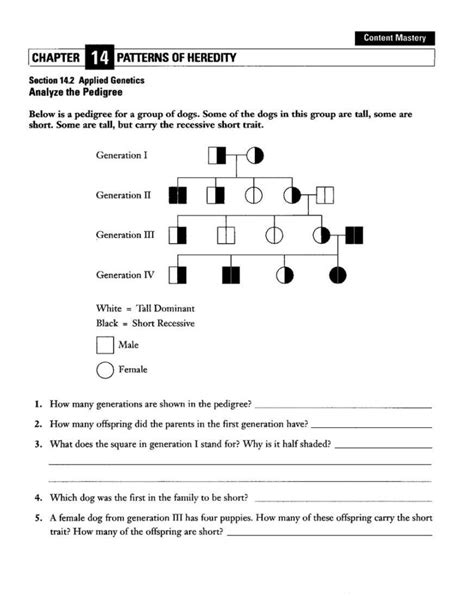 Inheritance Of 2 Traits Puppy Genetics Worksheet - BiologyWorksheets.net
