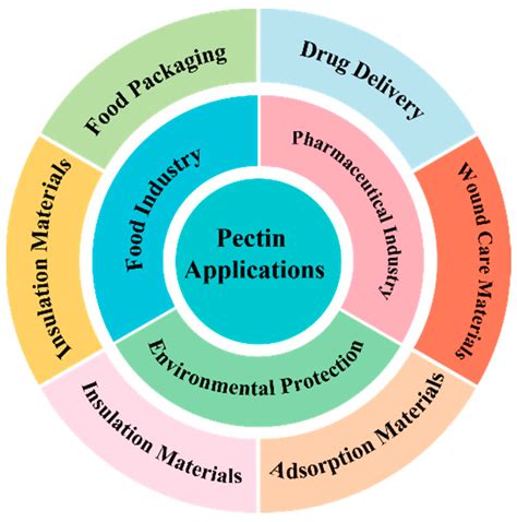 Source Extraction Properties And Multifunctional Applications Of Pectin A Short Review