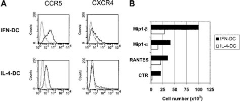 Ccr5 Expression And Migratory Response To Chemokines By Ifn Dcs A Download Scientific