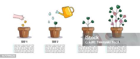만화 화분에 심은 플랫 성장 단계 꽃 성장 과정의 아이콘 세트입니다 벡터 최소 만화 고립 된 일러스트 식물 또는 꽃 수명주기 꽃 식물에 대한 스톡 벡터 아트 및 기타 이미지