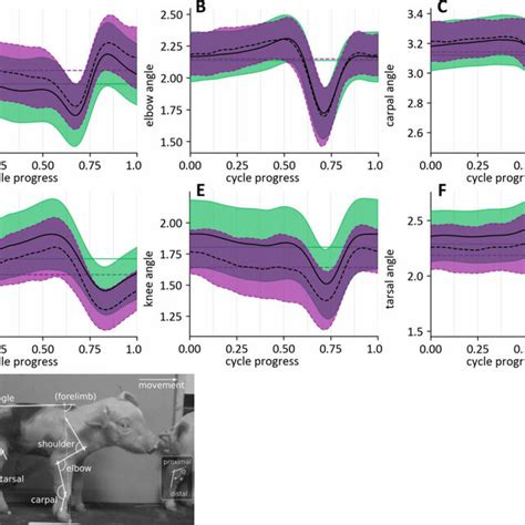 A Bm As A Function Of Pp Age Color Codes And Indication Of