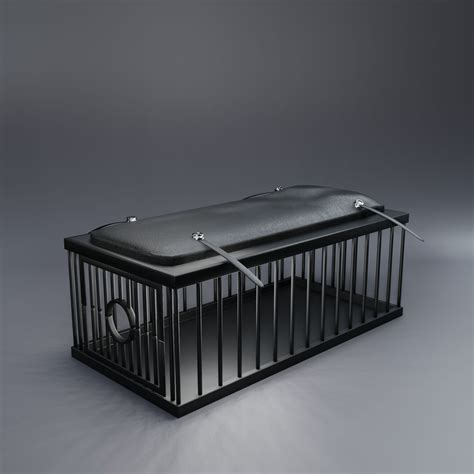 Get In The Cage Slave By Poscamin On Deviantart