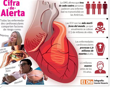 Enfermedades Cardiovasculares Son La Principal Causa De Muerte Prematura