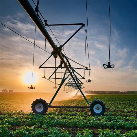 Pivot Modern Irrigation Stock Illustration Illustration Of Harvest 344337961