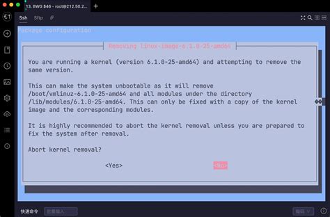 debian 我的常用一键脚本 geek