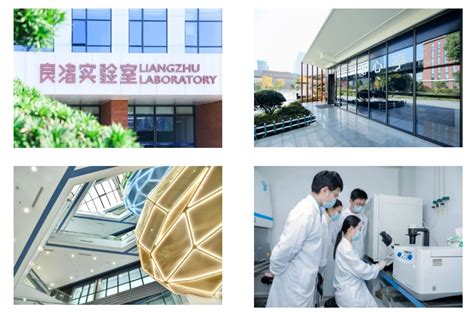 诚聘英才，共创未来，良渚实验室综合管理岗位招聘 校外招聘 良渚实验室