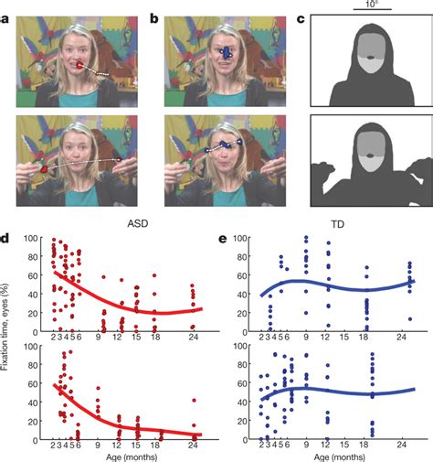 Example Stimuli Visual Scanpaths Regions Of Interest And
