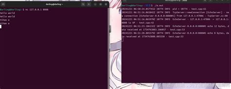 在 Ubuntu 上安装 Muduo 网络库的详细指南 Ew帮帮网