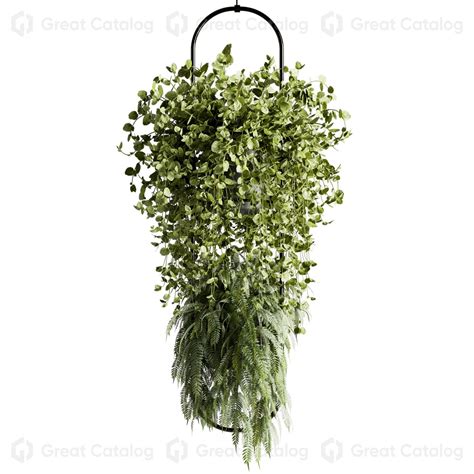 Hanging Potted Plants Indoor Ivy Set 171 3d Model Greatcatalog 83592