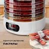 Электросушилка REDMOND RFD-0158: купить в Москве, СПб, России - отзывы ...