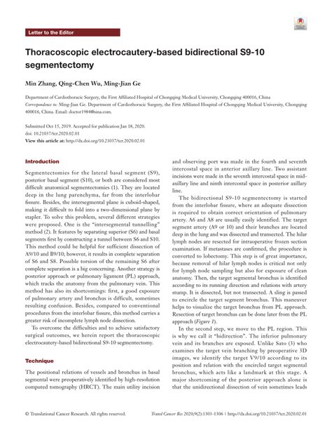 Pdf Thoracoscopic Electrocautery Based Bidirectional S9 10 Segmentectomy