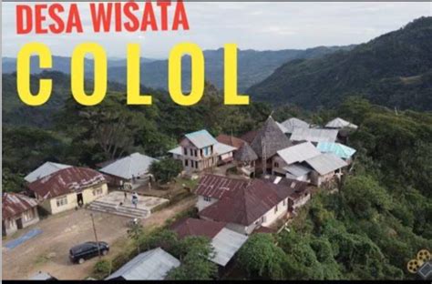 Menikmati Pesona Desa Wisata Colol Surga Kopi Di Timur Flores
