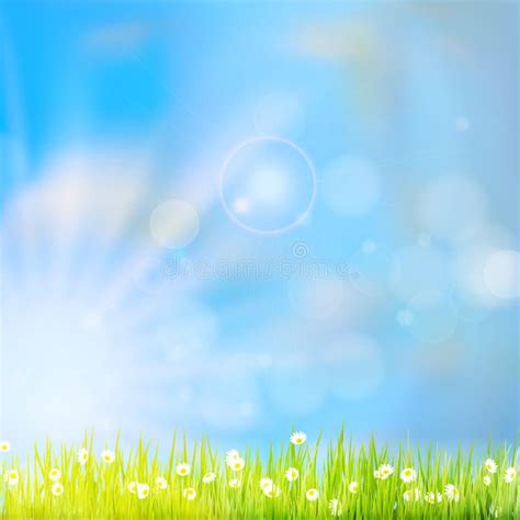 Grass Sun Light Stock Illustrations 63135 Grass Sun Light Stock