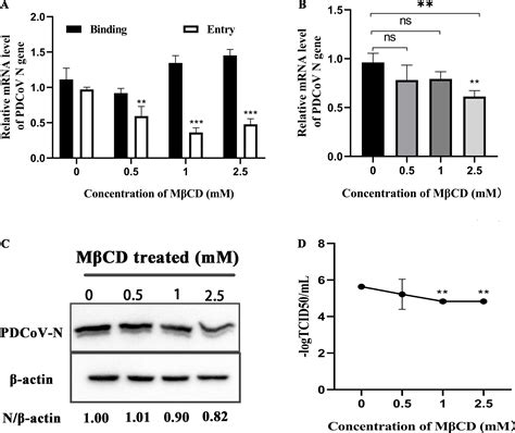 Porcine Deltacoronavirus Enters St Cells By Clathrin Mediated