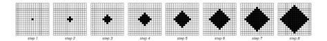 Cellular Automata A New Kind Of Science Online By Stephen Wolfram Page
