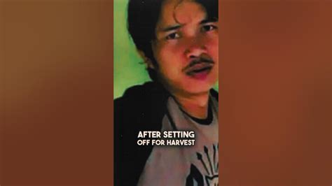 Scary True Story The Terrifying Fate Of Akbar Salubiro In The Jaws Of