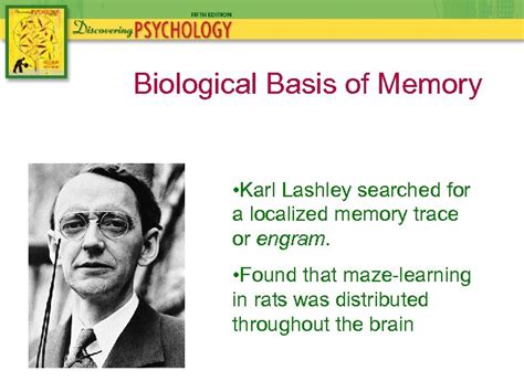 chapter 6 memory stage model of memory