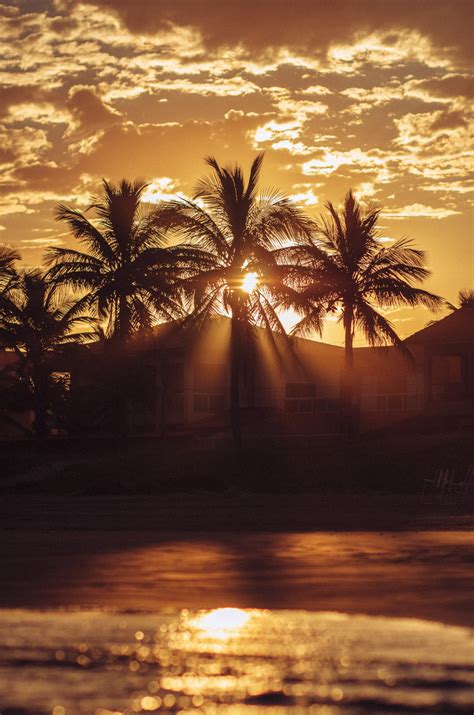 무료 이미지 자연스러운 구름 분위기 낮 호박색 잔광 나무 황혼 주황색 종범 일몰 수평선 해돋이 아침에 붉은 하늘 천체 경치 여름 Tints