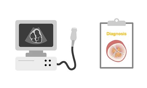 Assessing Endocarditis With Echocardiography Medmastery