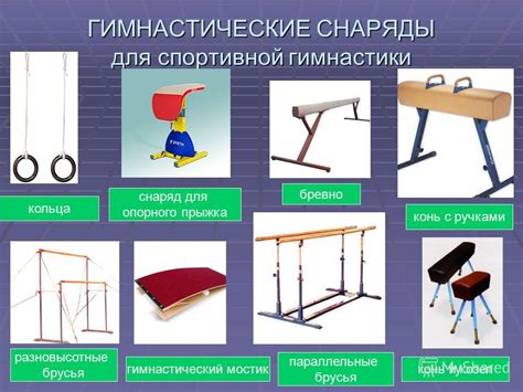 Презентация на тему: "ВИДЫГИМНАСТИКИ Учитель ФК ГБОУ СОШ 500 ТУНТУЕВА ...