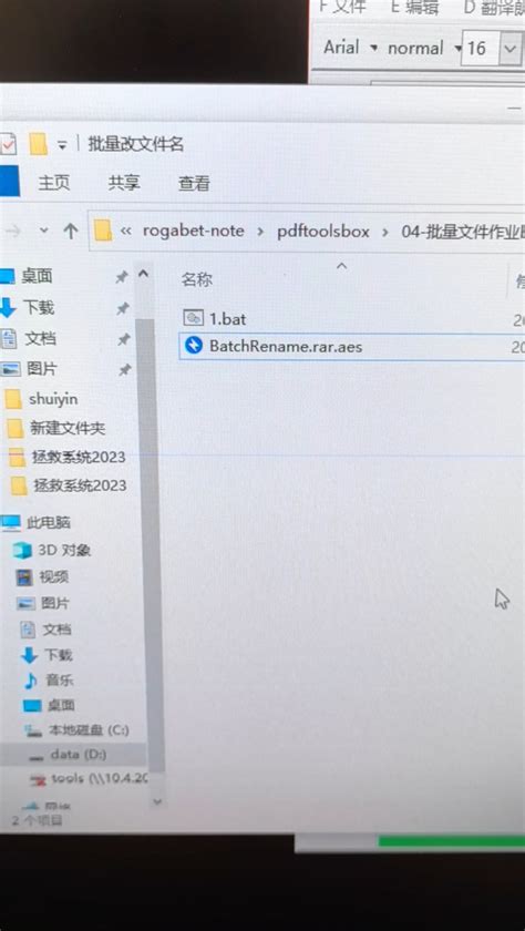 249批量处理前尽量都改小写扩展名，批量改文件名，批量word转pdf为例，老罗笔记 rogabetnote130