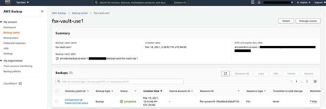 Cross Region And Cross Account Backups For Amazon Fsx Using Aws Backup Storagenewsletter