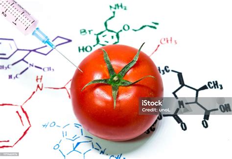 Genetically Modified Tomato On The Chemical Structure Formula