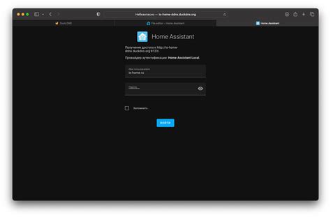 Удаленный доступ Home Assistant Duck Dns Io Home