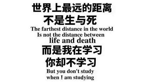 Python爬虫基础学习从一个小案例来学习xpath匹配方法 哔哩哔哩