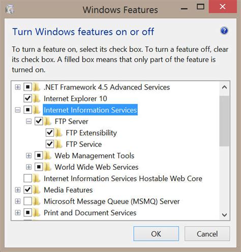 FastCGI In IIS