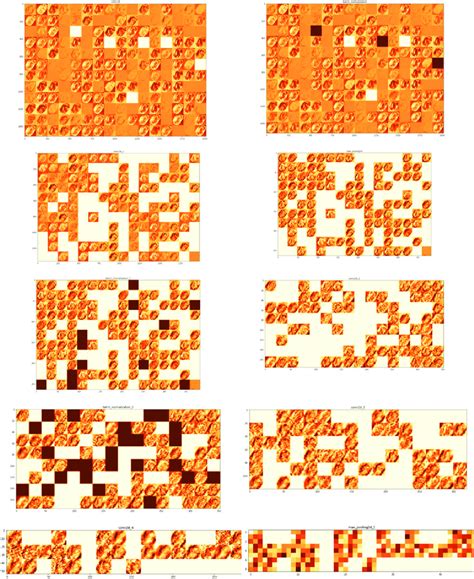 Feature Maps Extracted By Different Layers Of The Model Download Scientific Diagram