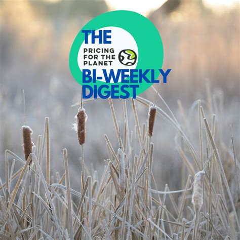 Stephan M Liozu Ph D Posted On Linkedin