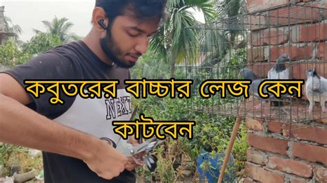 নতুন বাচ্চা ঝরঝরা করার নিয়ম। কেন নতুন বাচ্চার লেজ কাটবেন।vlog 4 Youtube